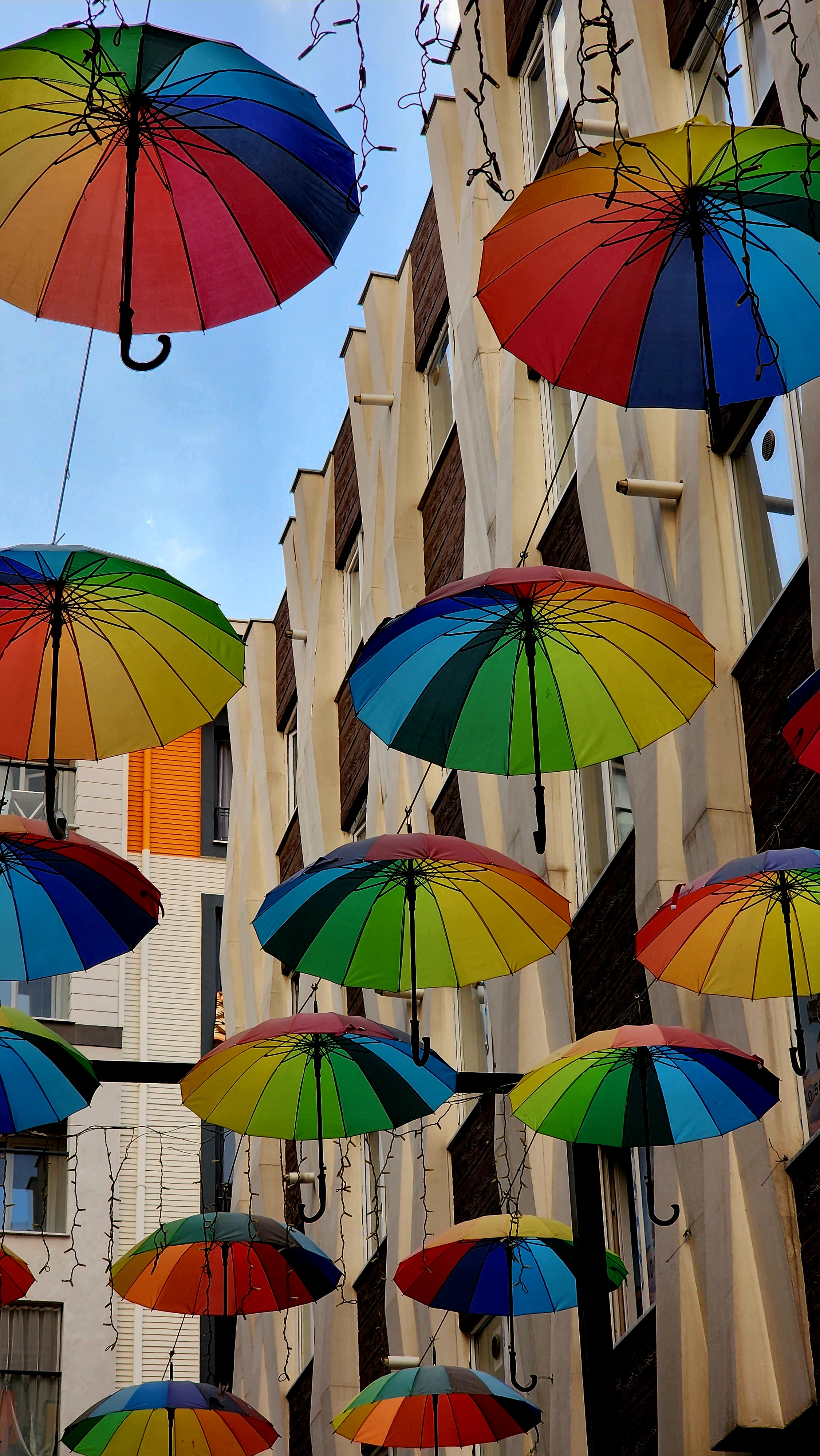 Sorena Shirzad | سورنا شیرزاد